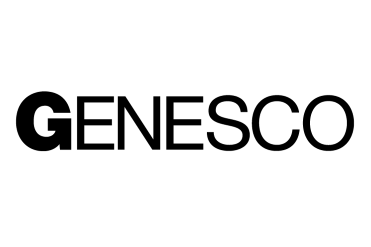 Genesco appoints a new head for Journeys | Article | Shoe Intelligence