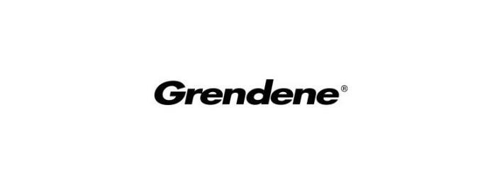 Grendene takes over the management of its Melissa Club franchise ...